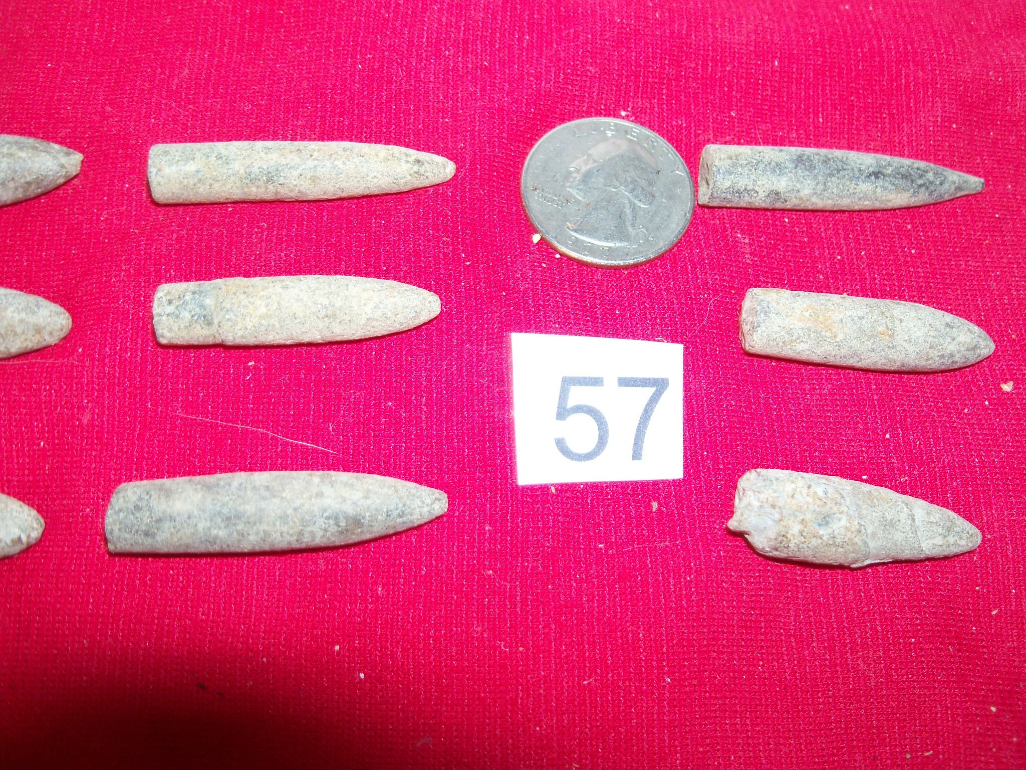 100 Fossils per Lot. Bullet Fish Shark Teeth Dino Tooth | Etsy