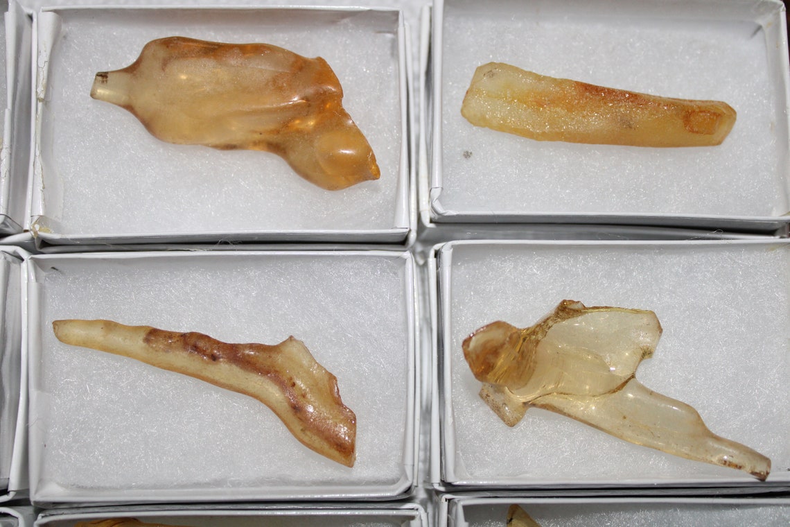 1 Real Amber With Insects Bugs per Lot - Etsy