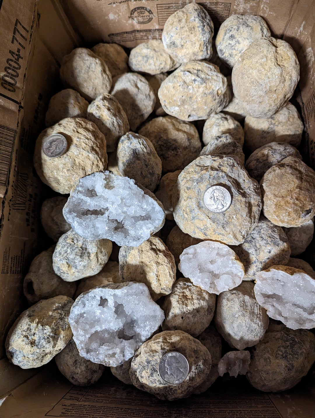 Geodes Large. 1 Pound Lbs Break Crack Your Own Geodes per Lot. About 2 per Pound Lot. - Etsy