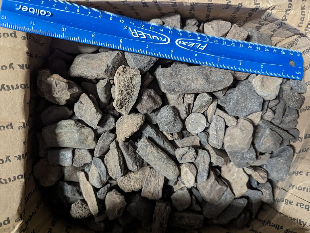 1/4 Pound Lb LBS of Fossil Bones, Fossil Turtle Shells, and Other ...