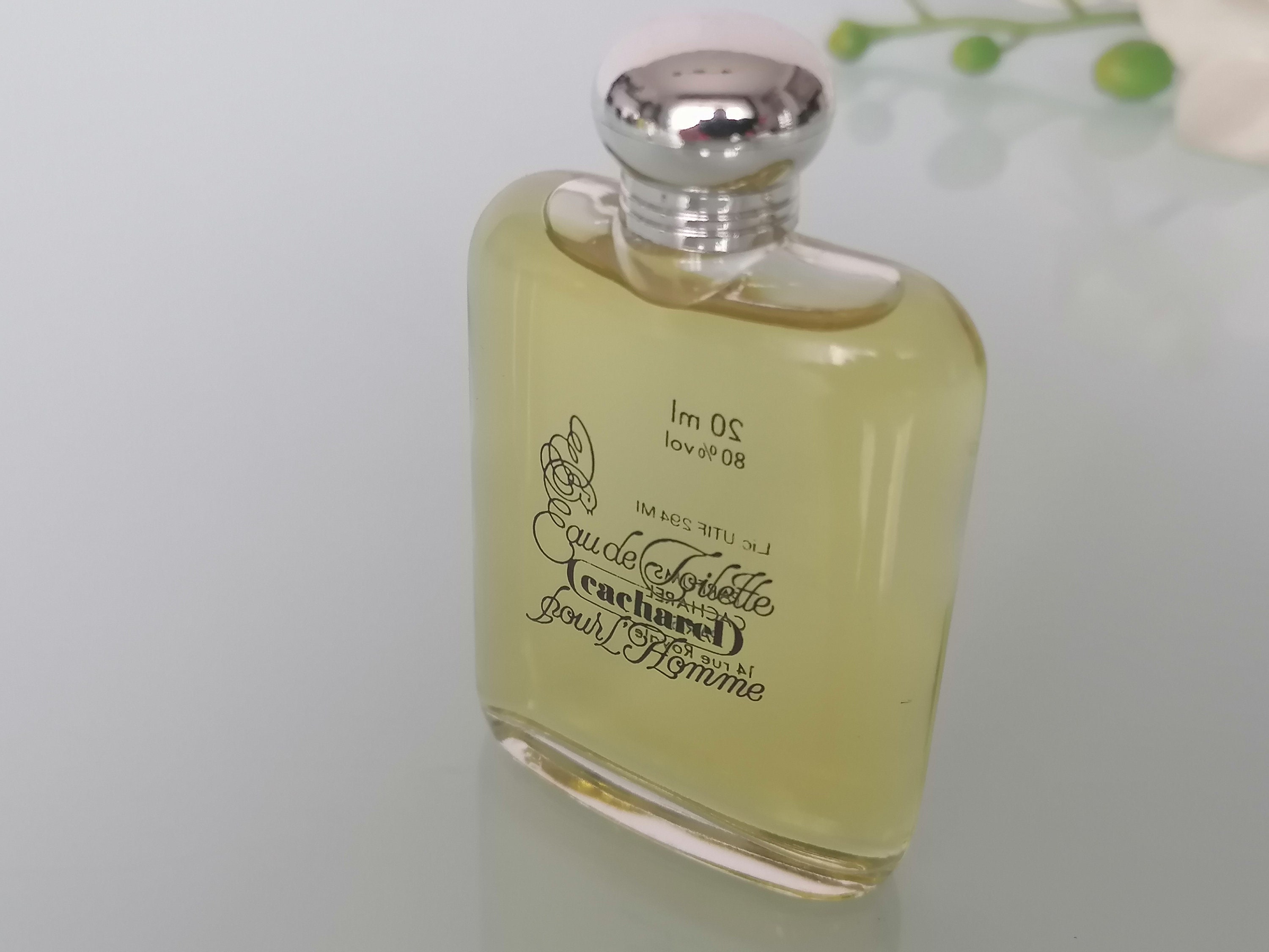 Pour Lui Vintage 1981 Mini Travel Size Men's Eau De Toilette Craft ...