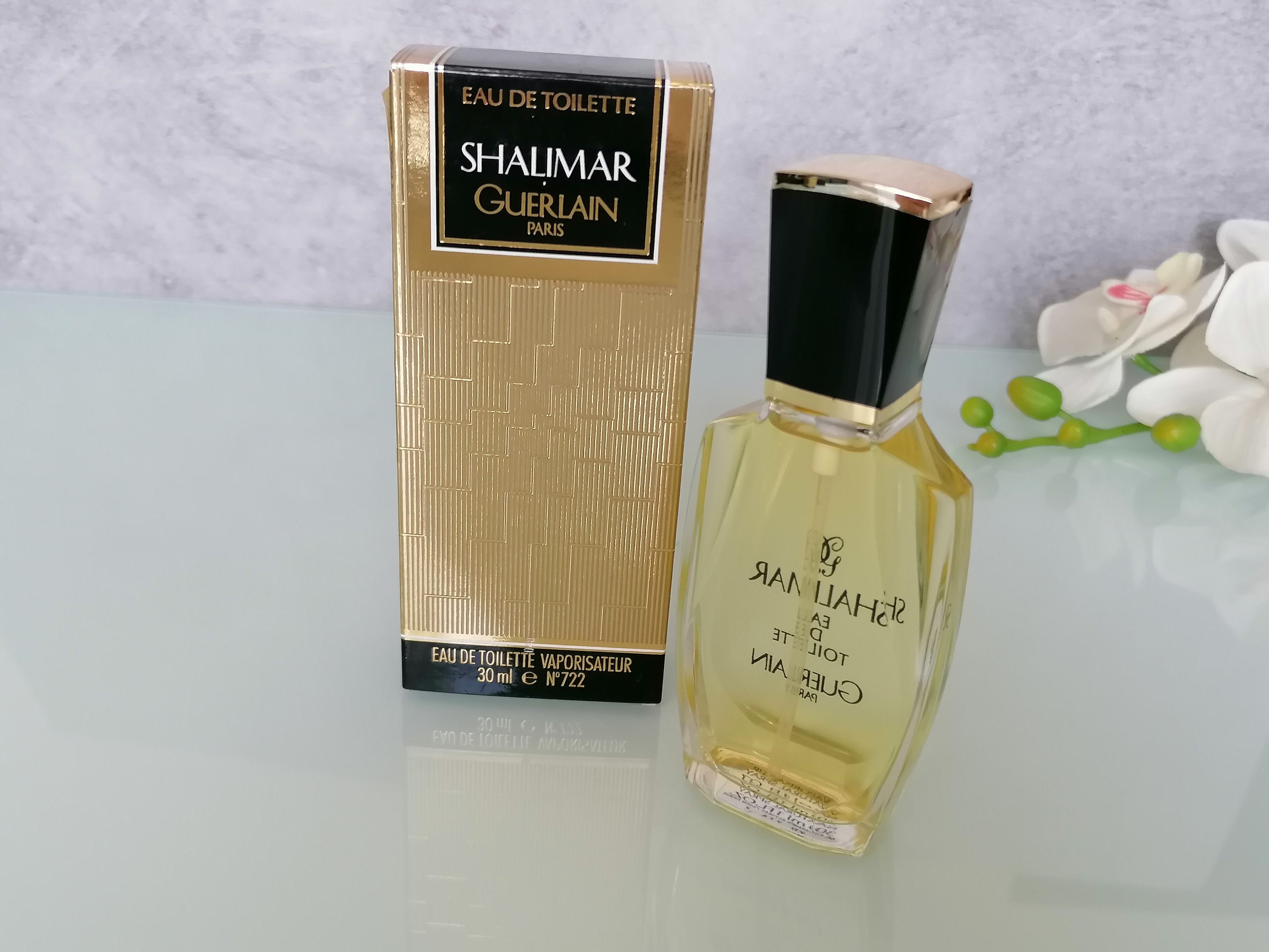 ORIGINAL Ink & Watercolor Painting Ornate Vintage-Style Shalimar ...