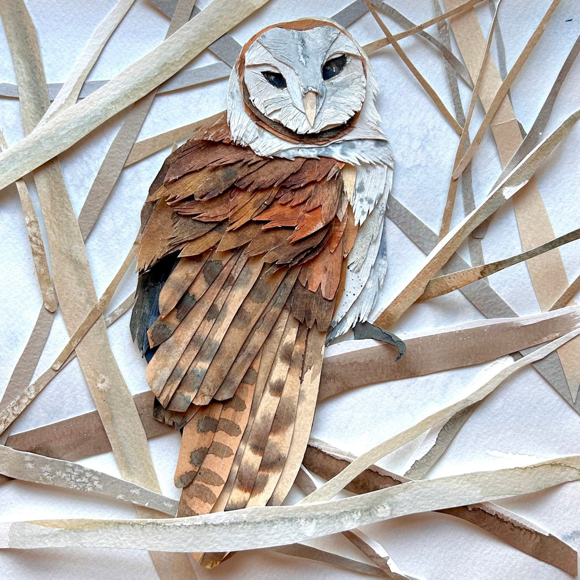 Original Framed Paper Cut Barn Owl/original Bird Art - Etsy