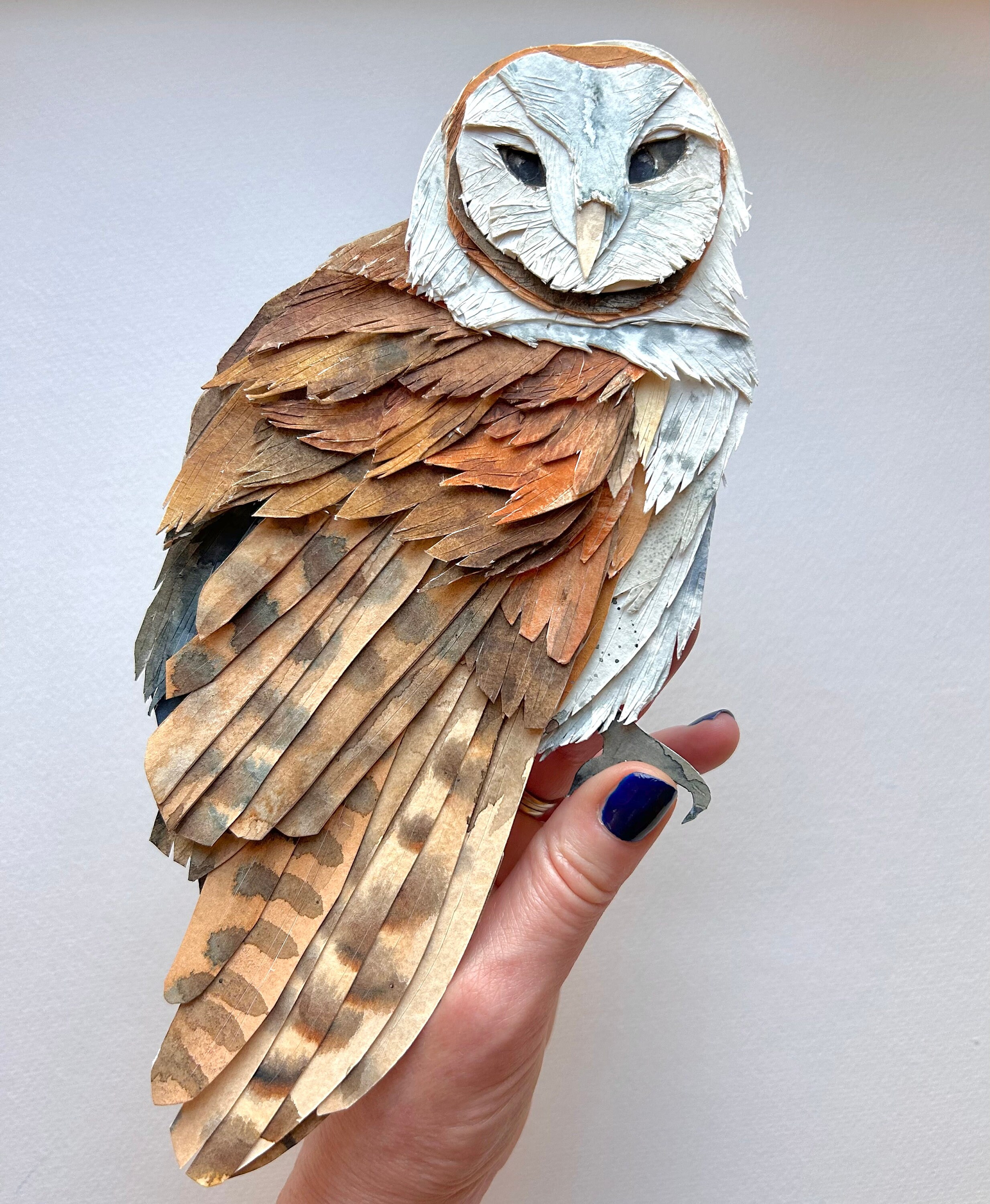 Original Framed Paper Cut Barn Owl/original Bird Art - Etsy