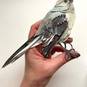 Original Framed Paper Mockingbird /original Bird Art - Etsy