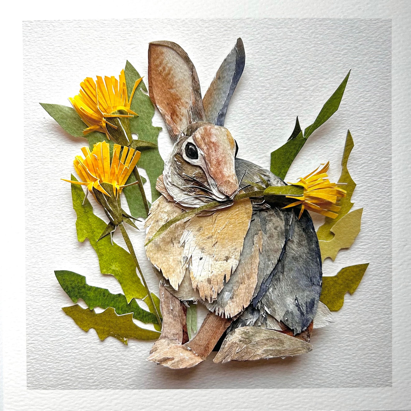 Limited Giclee Rabbit Print/rabbit Fine Art Print - Etsy