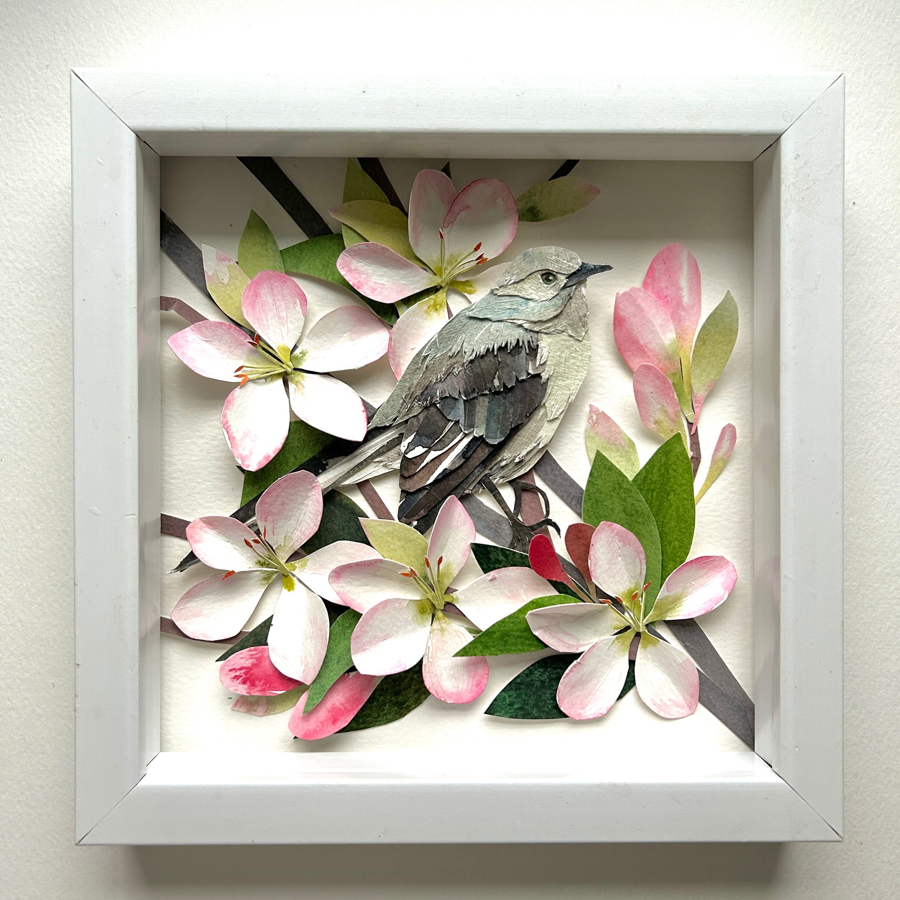 Original Framed Paper Mockingbird /original Bird Art - Etsy