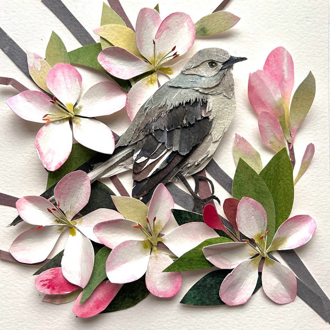 Original Framed Paper Mockingbird /original Bird Art - Etsy