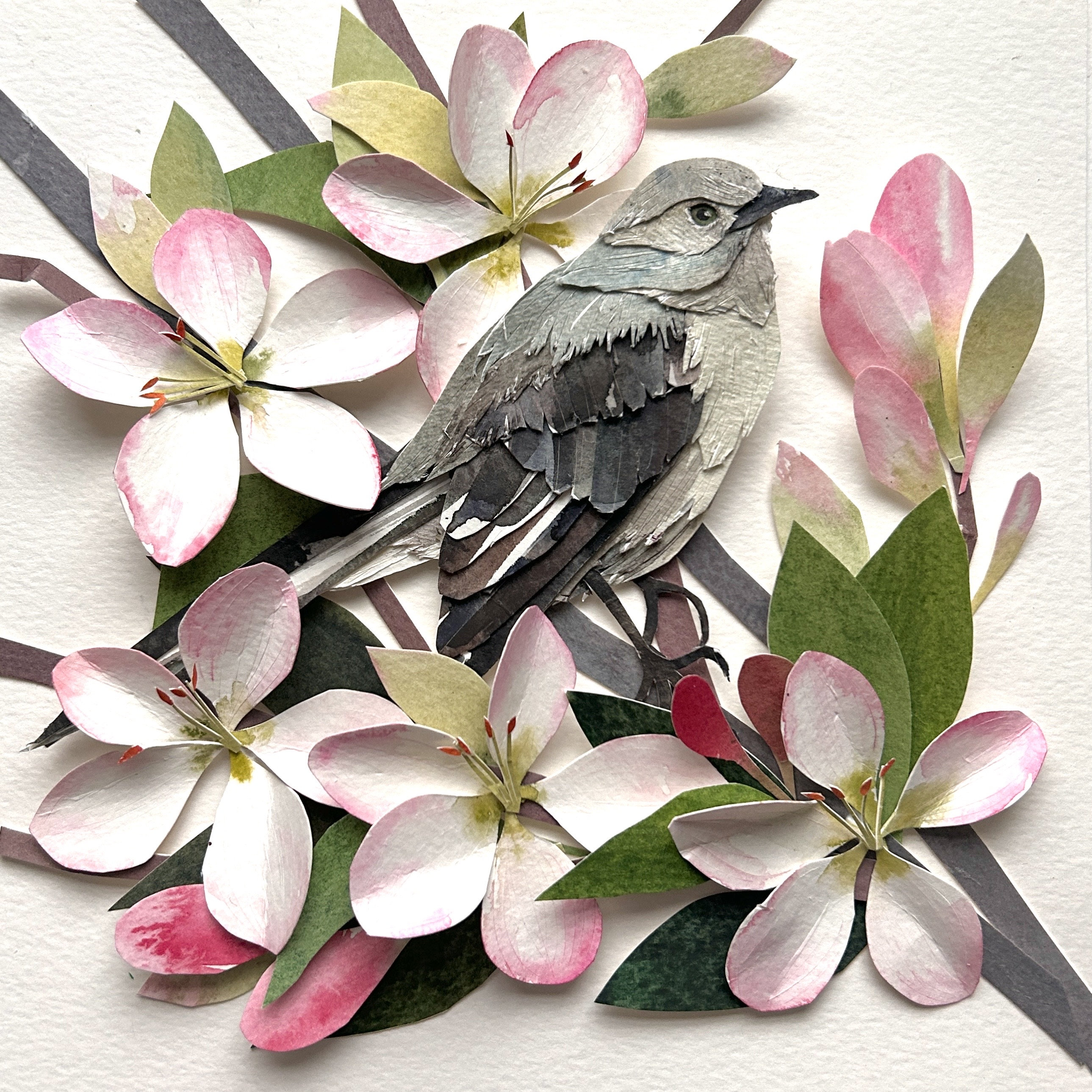 Original Framed Paper Mockingbird /original Bird Art - Etsy