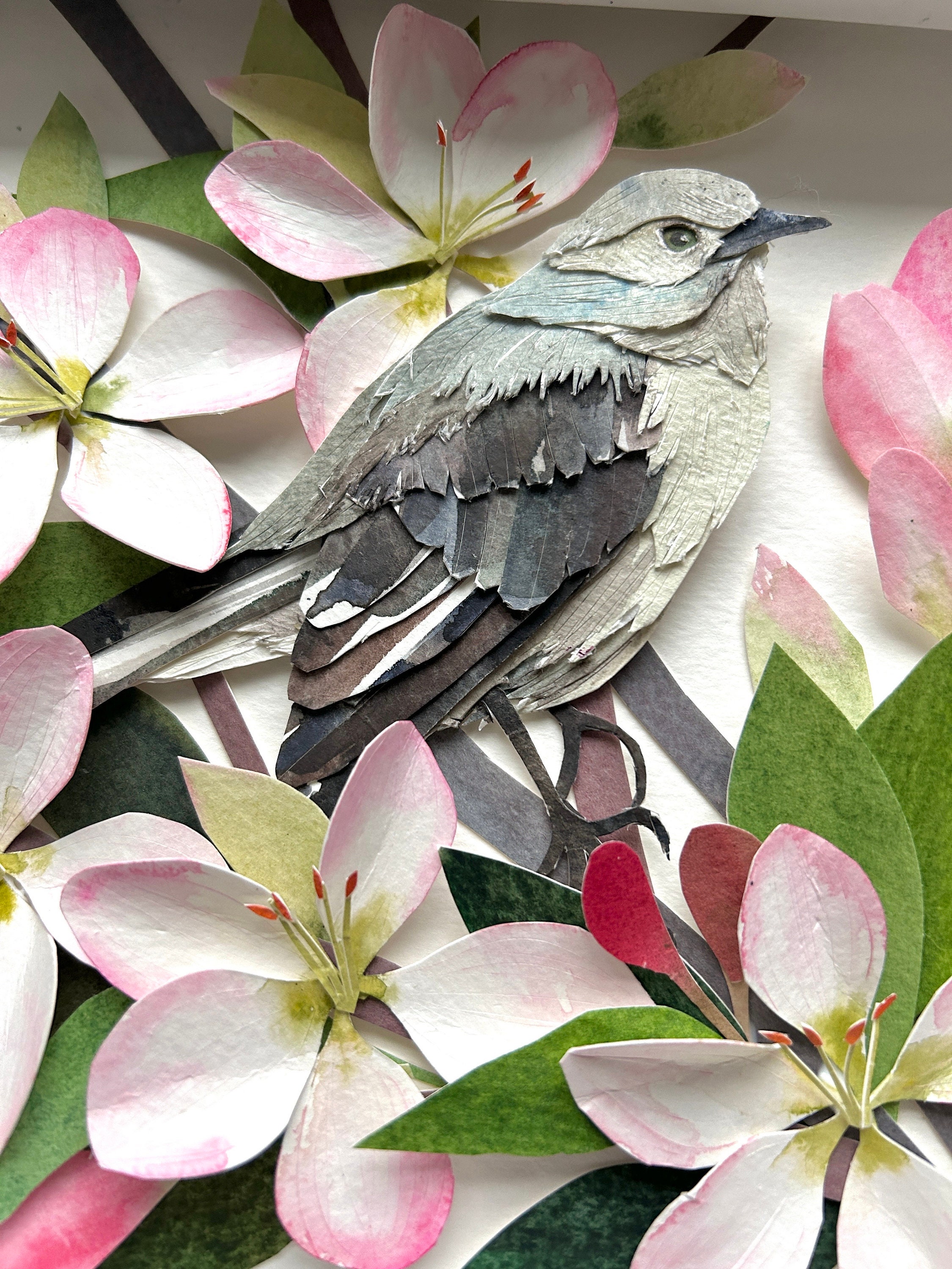 Original Framed Paper Mockingbird /original Bird Art - Etsy