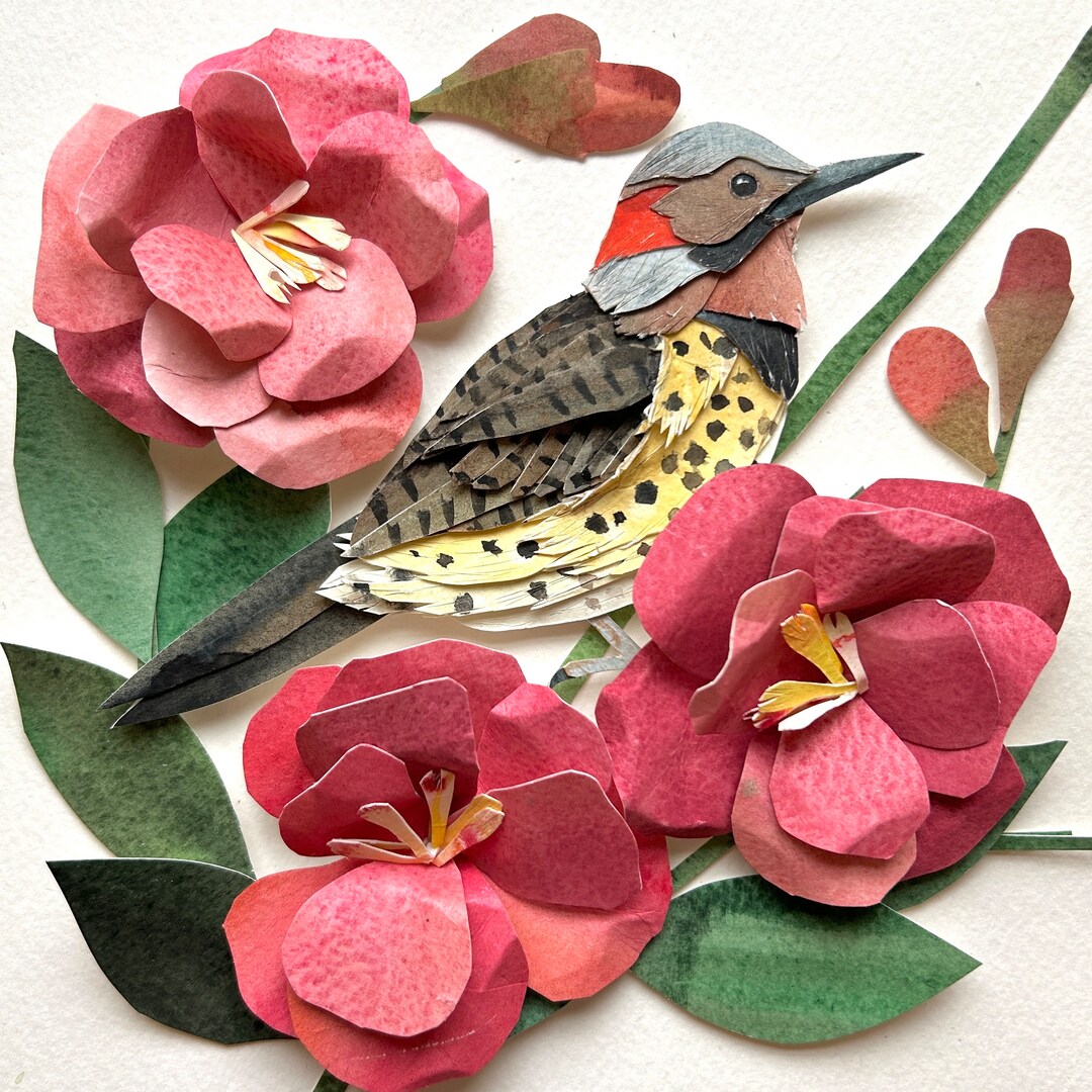 Original Framed Paper Northern Flicker /alabama State Bird Art - Etsy