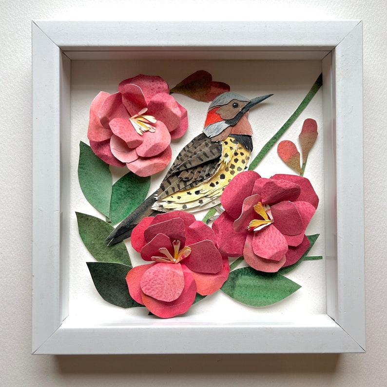 Original Framed Paper Northern Flicker /alabama State Bird Art - Etsy