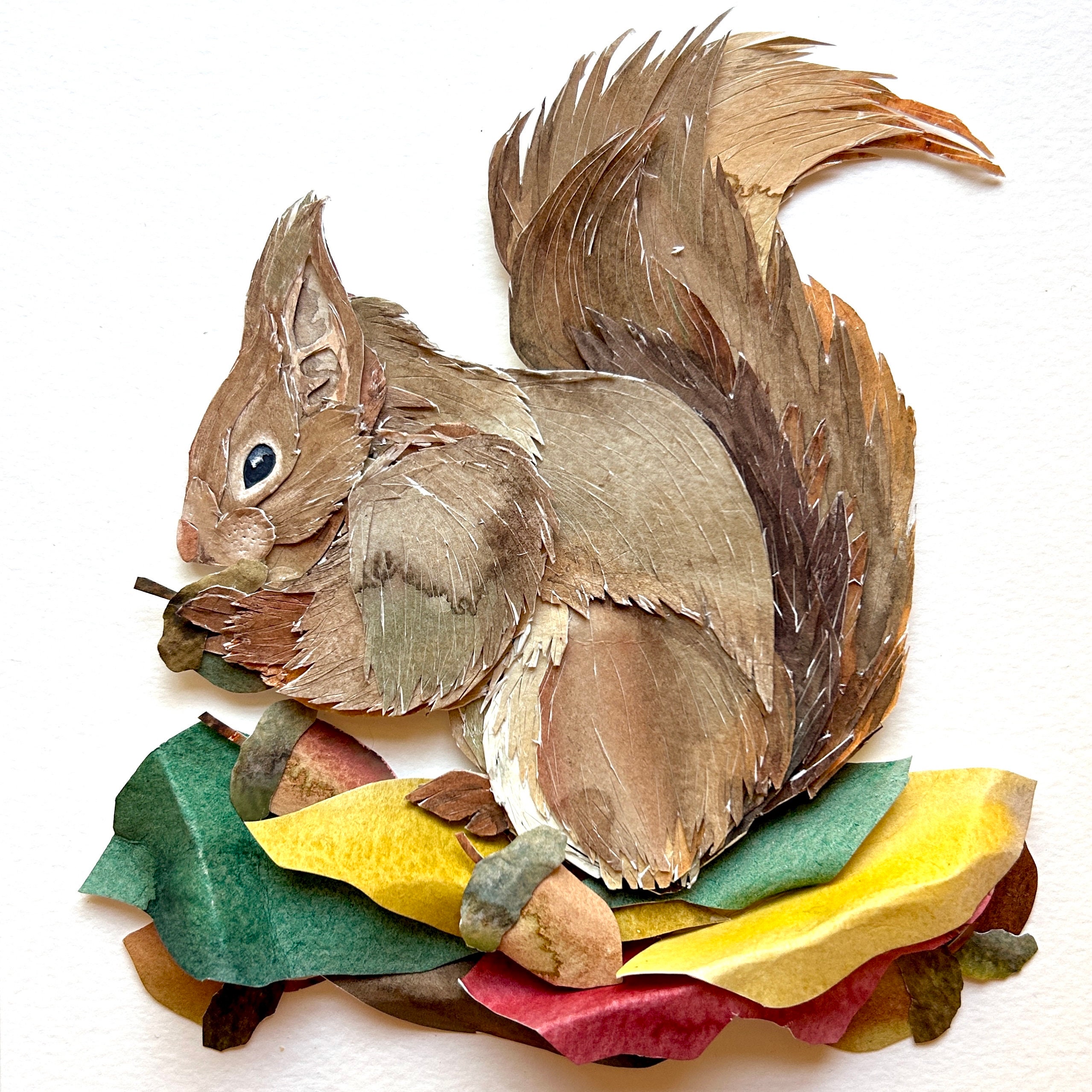 Original Framed Paper Cut Squirrel /original Animal Art - Etsy