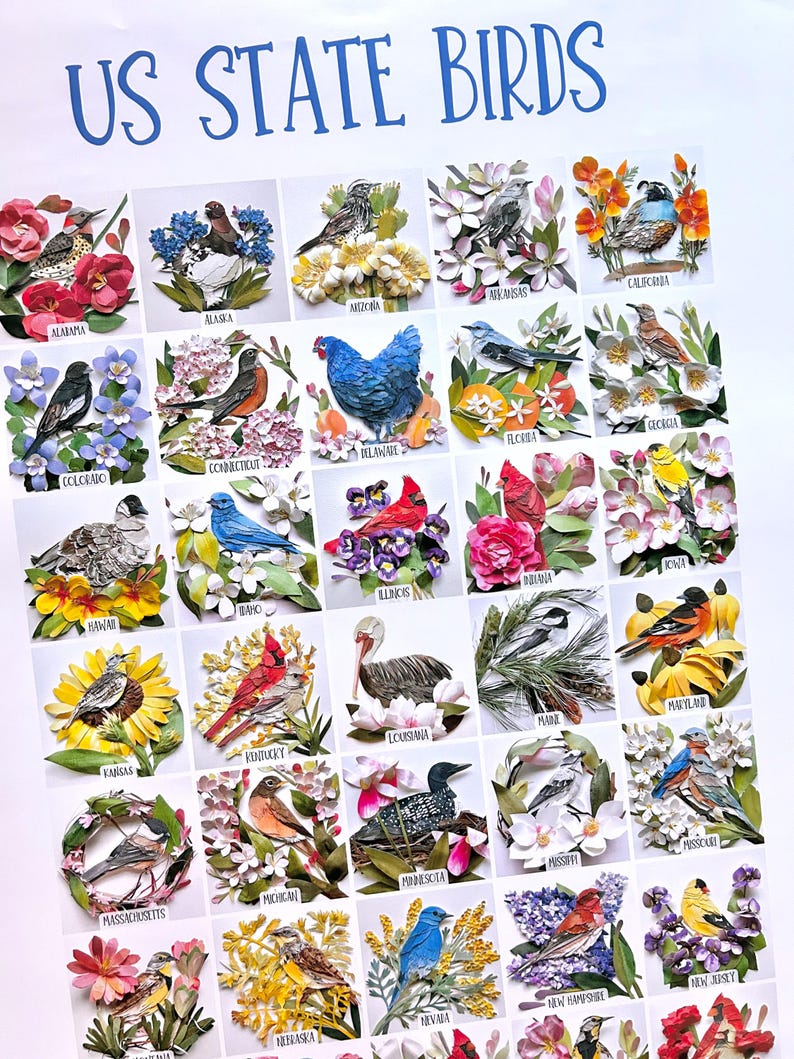 US State Bird Poster Small With Labels/bird Poster - Etsy