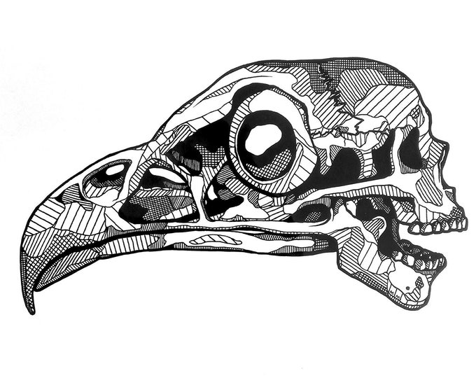 BIRDMAN - A4 Art Print - Signed and Packaged / Skull / Illustration ...