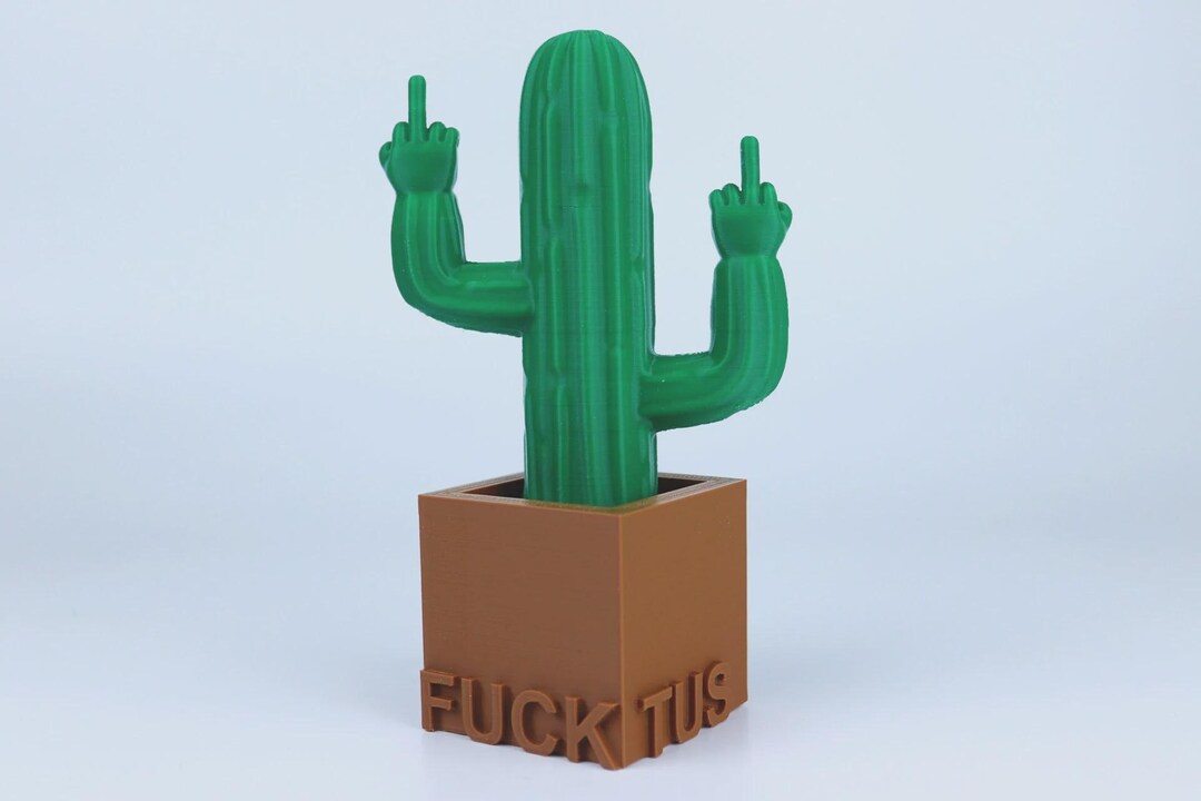 Middle Finger Cactus Figure, Humorous Cactus, Sarcastic Decor - Etsy