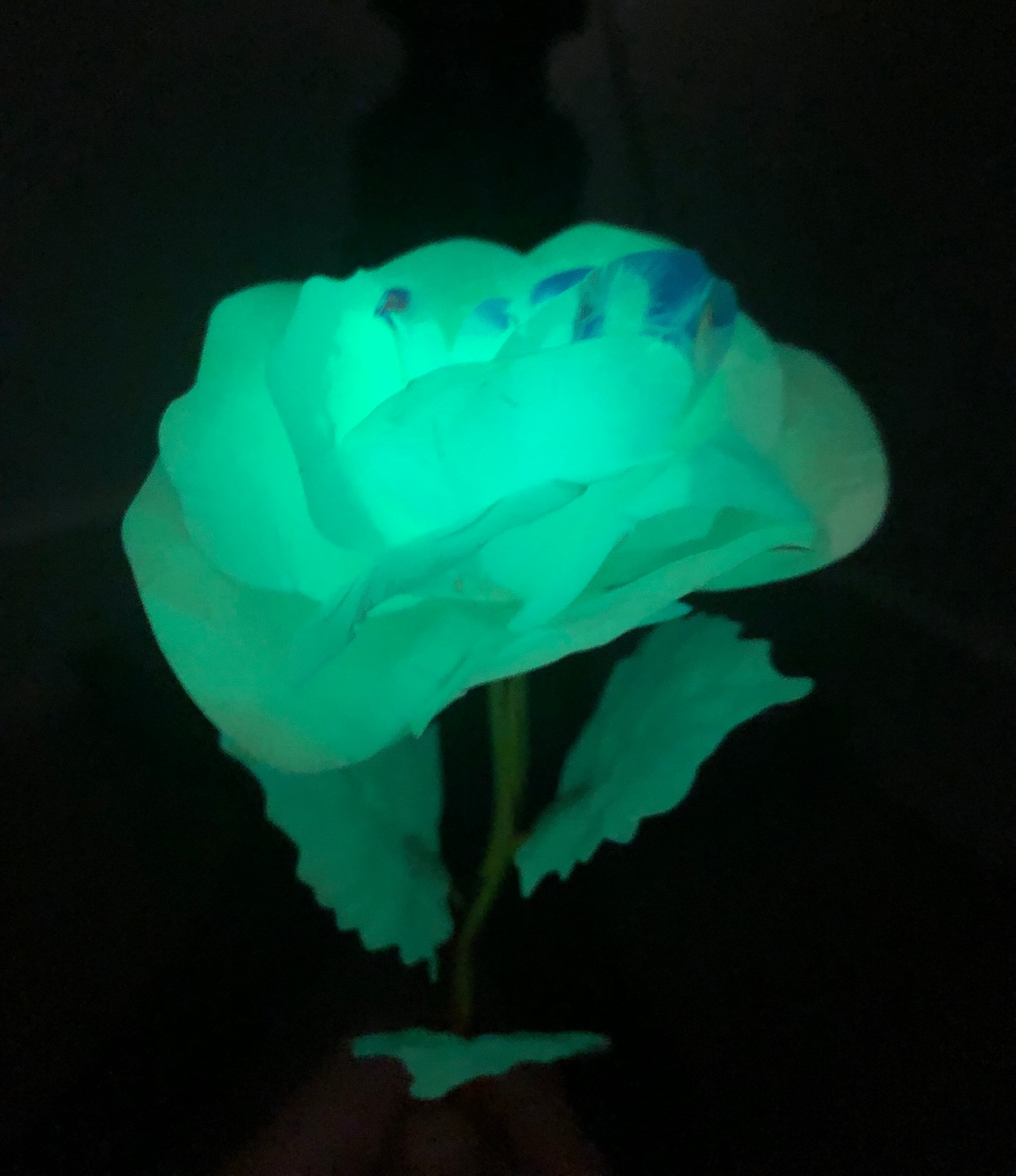 FFXIV Elpis Glow in the Dark Holographic Flower FFXIV - Etsy Australia