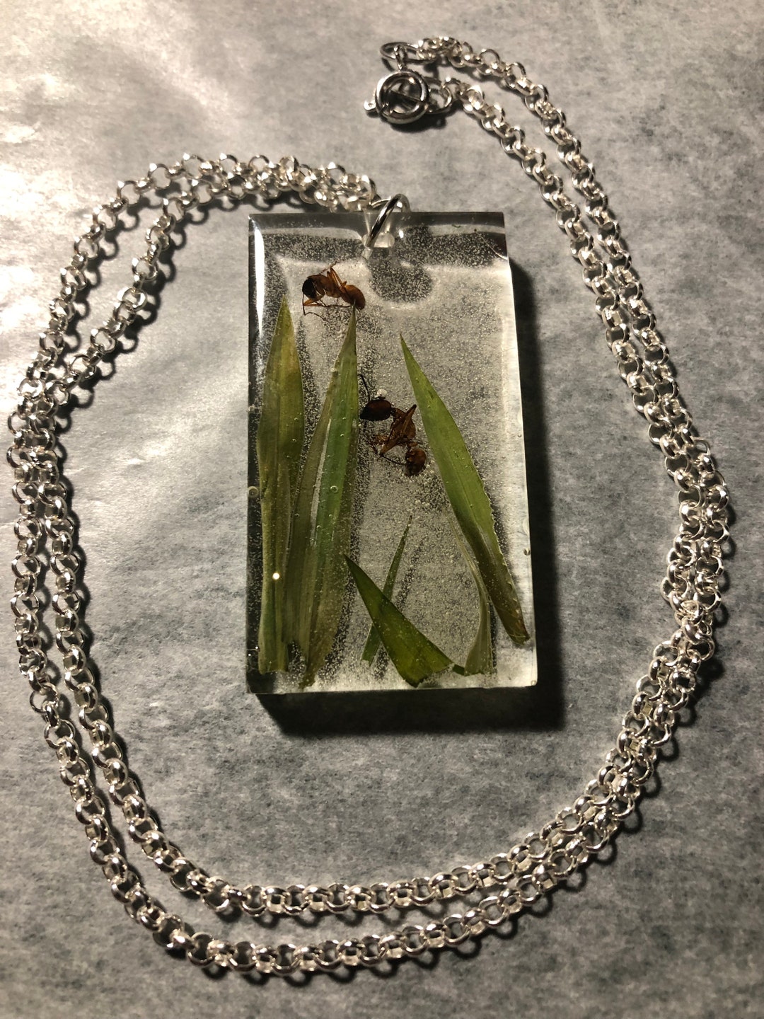 Real Ants and Grass Resin Necklace - Etsy