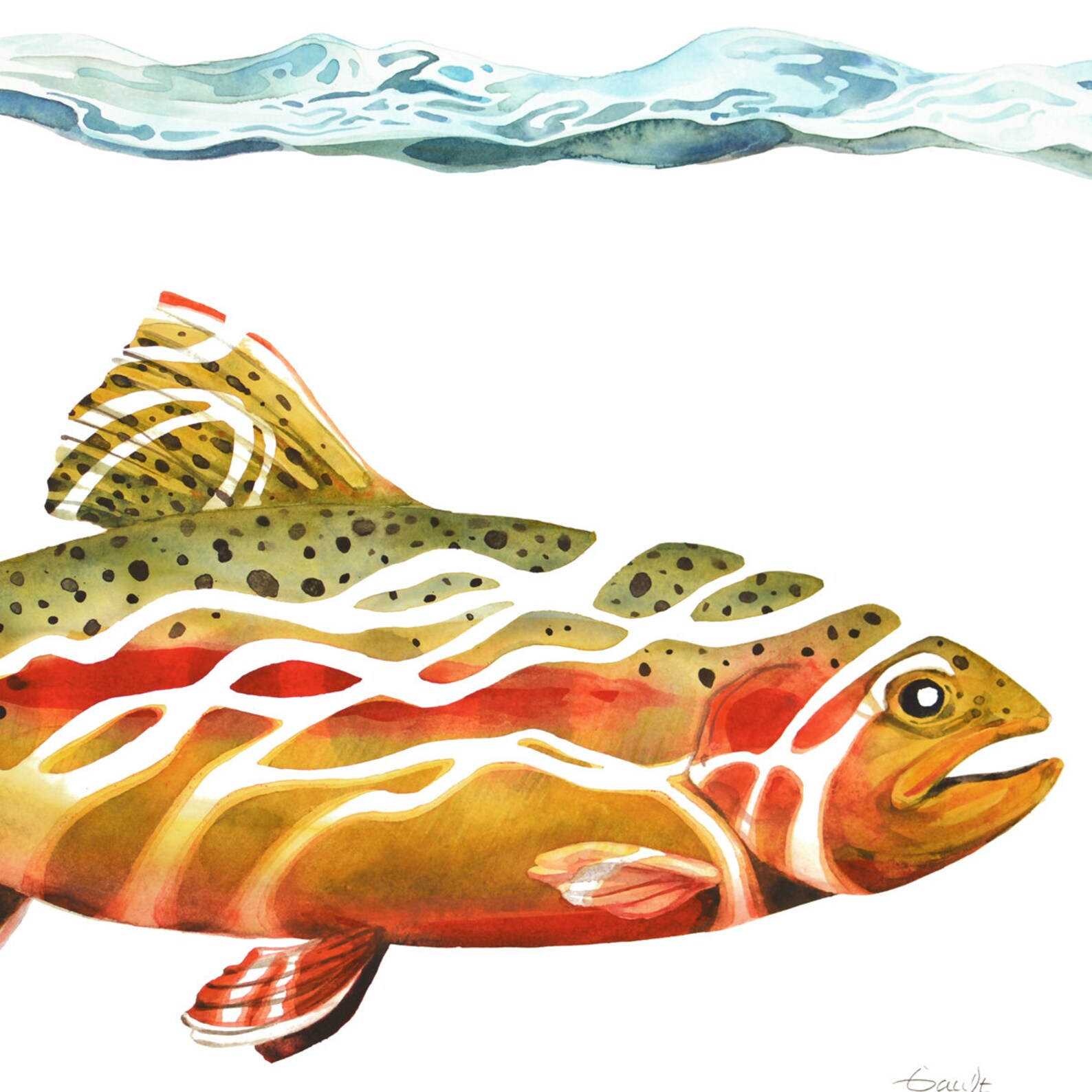 California Golden Trout Painting Golden Trout Art Fish Art | Etsy