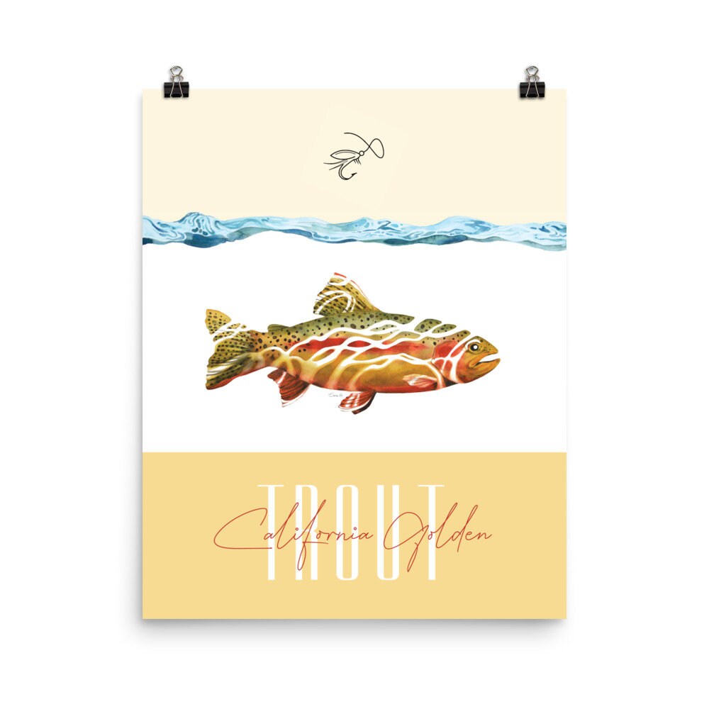 Unframed Golden Trout Poster Fish Poster Fly Fishing Poster - Etsy