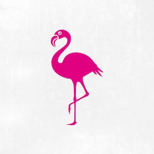 Flamingo SVG Flamingo Clipart Zoo SVG Animal Svg Beach | Etsy