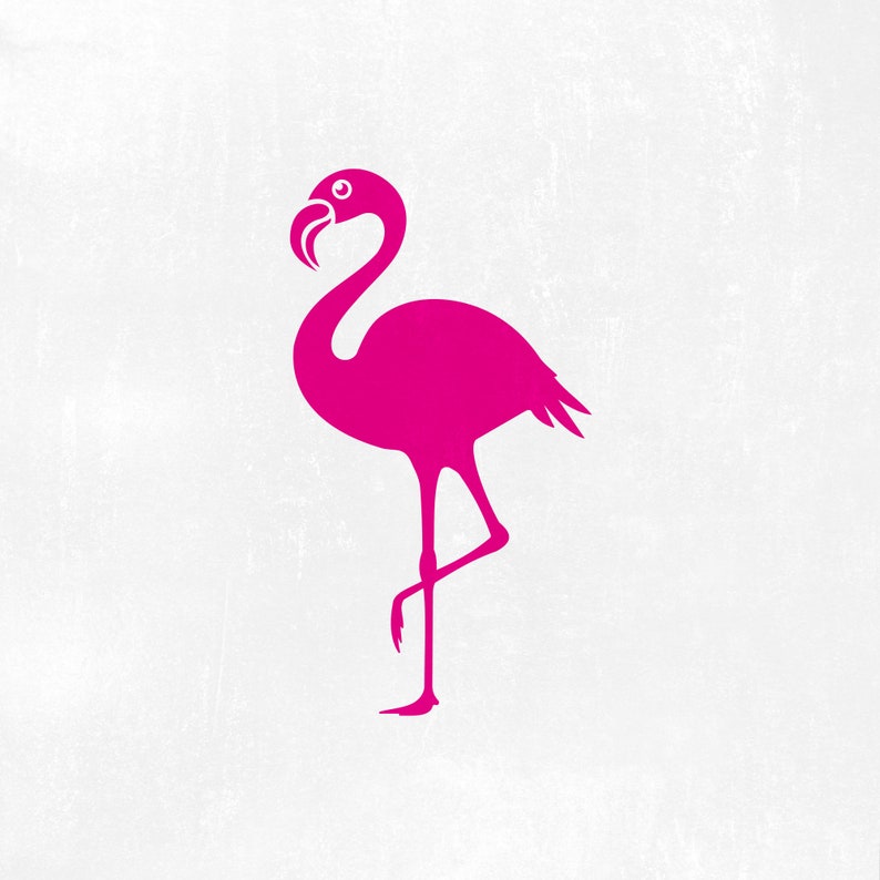 Flamingo SVG, Flamingo Clipart, Zoo SVG, Animal Svg, Beach Svg, SVG ...