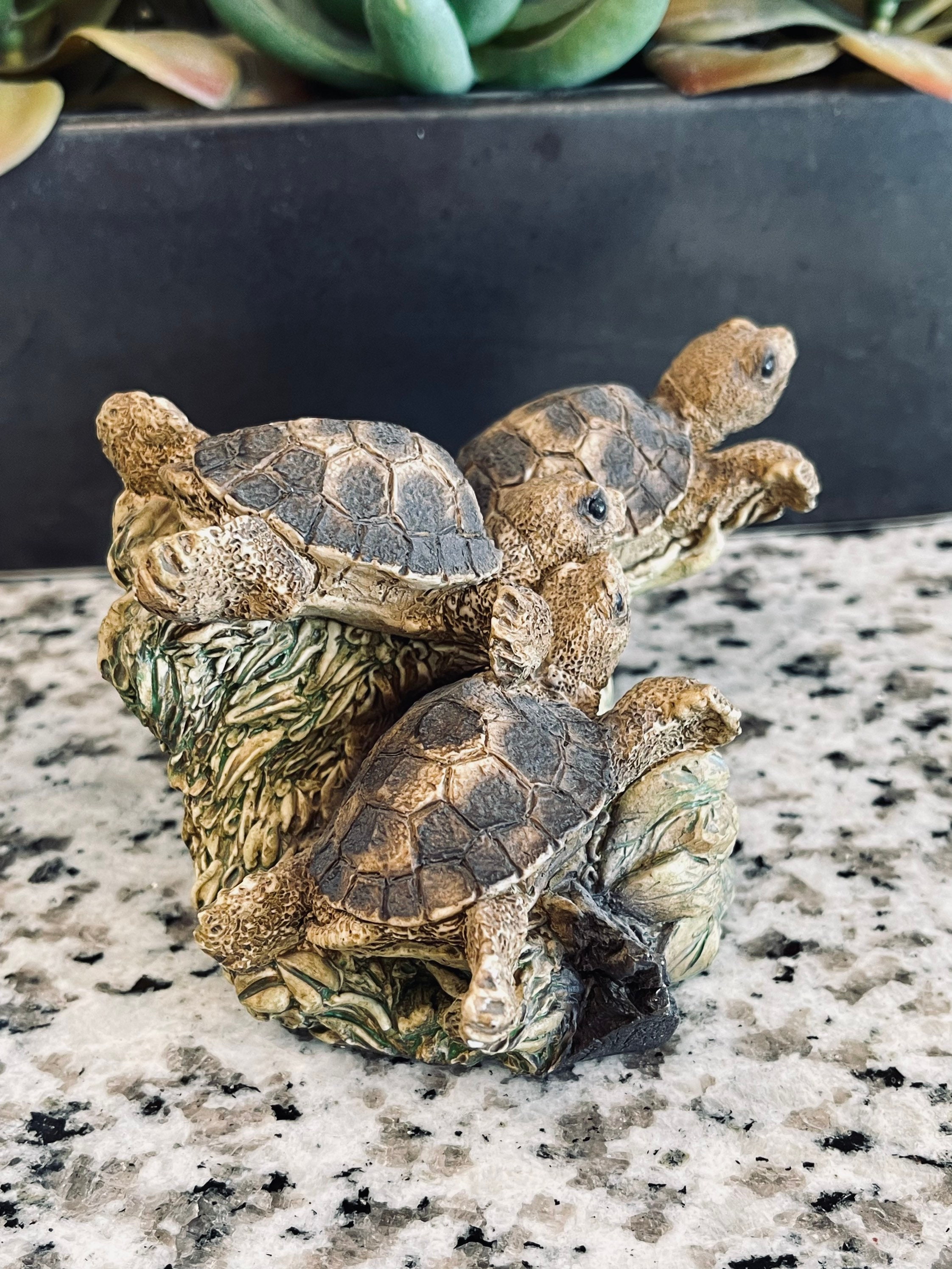 Stone Critters 3 Water Turtles Figurine Resin SC-387 Signed | Etsy