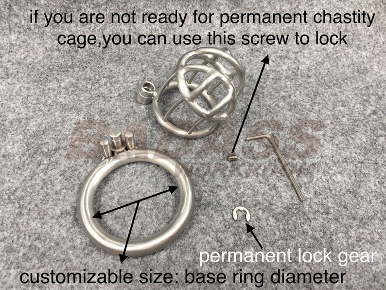 Customizable Chastity Cage Dual Lock System Stainless - Etsy