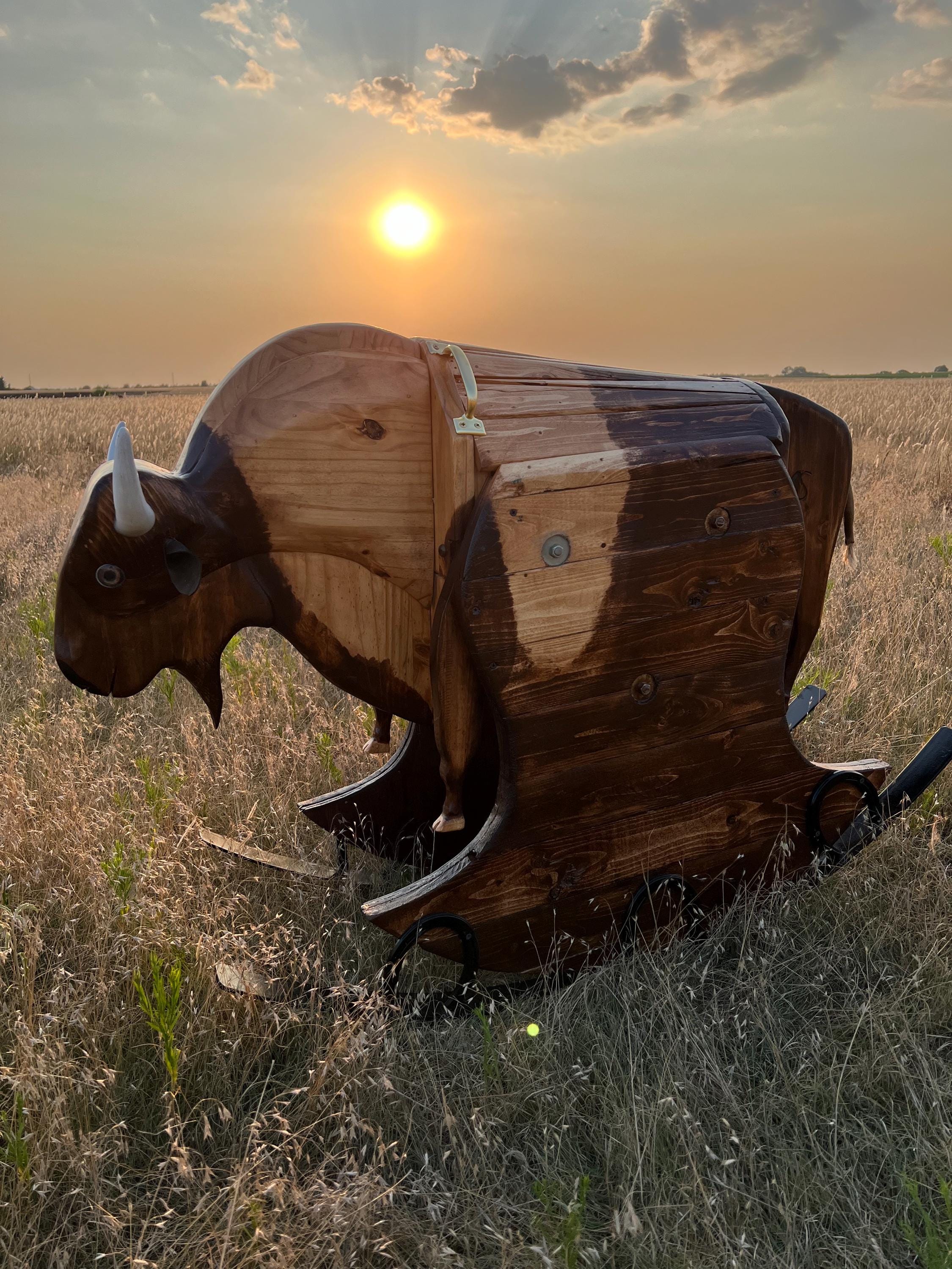 Kids Rocking Buffalo - Etsy