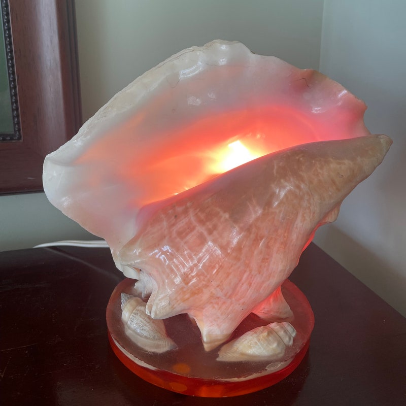 Conch Shell Lamp - Etsy