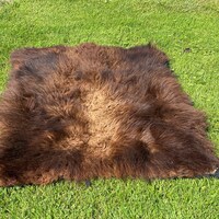 Buffalo Hide - Etsy