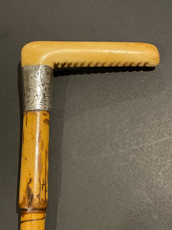 A Nice Malacca Cane or Walking Stick With a Bone Handle and | Etsy