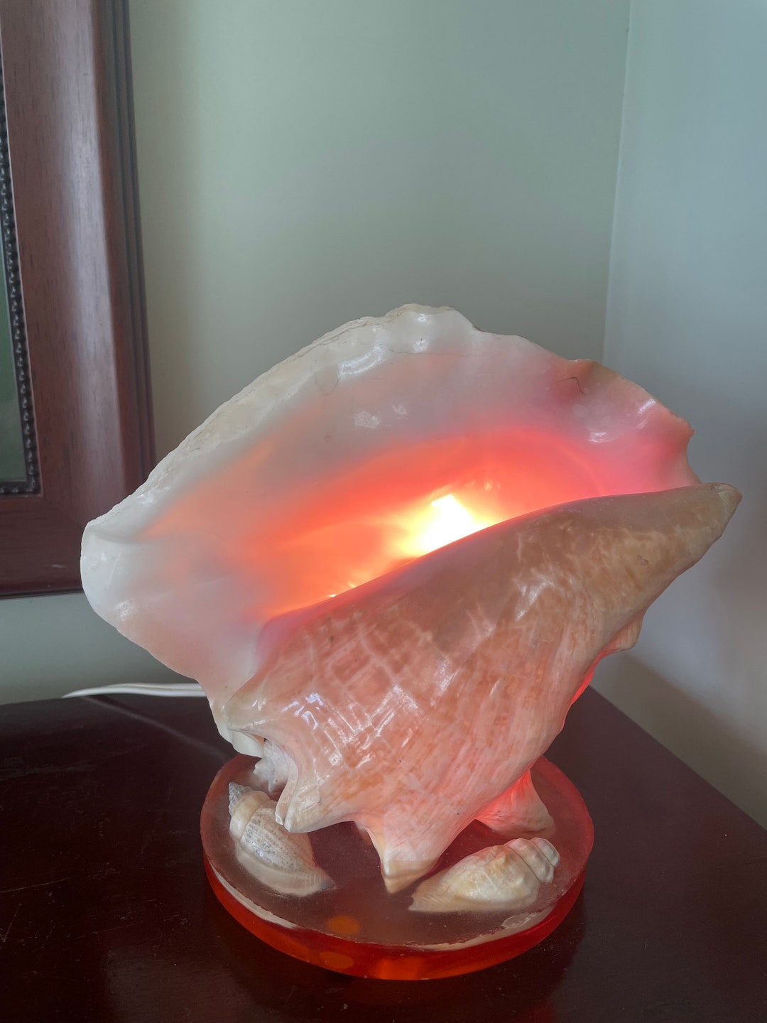 Vintage Sea Conch Shell Light - Nautical Decor - Etsy