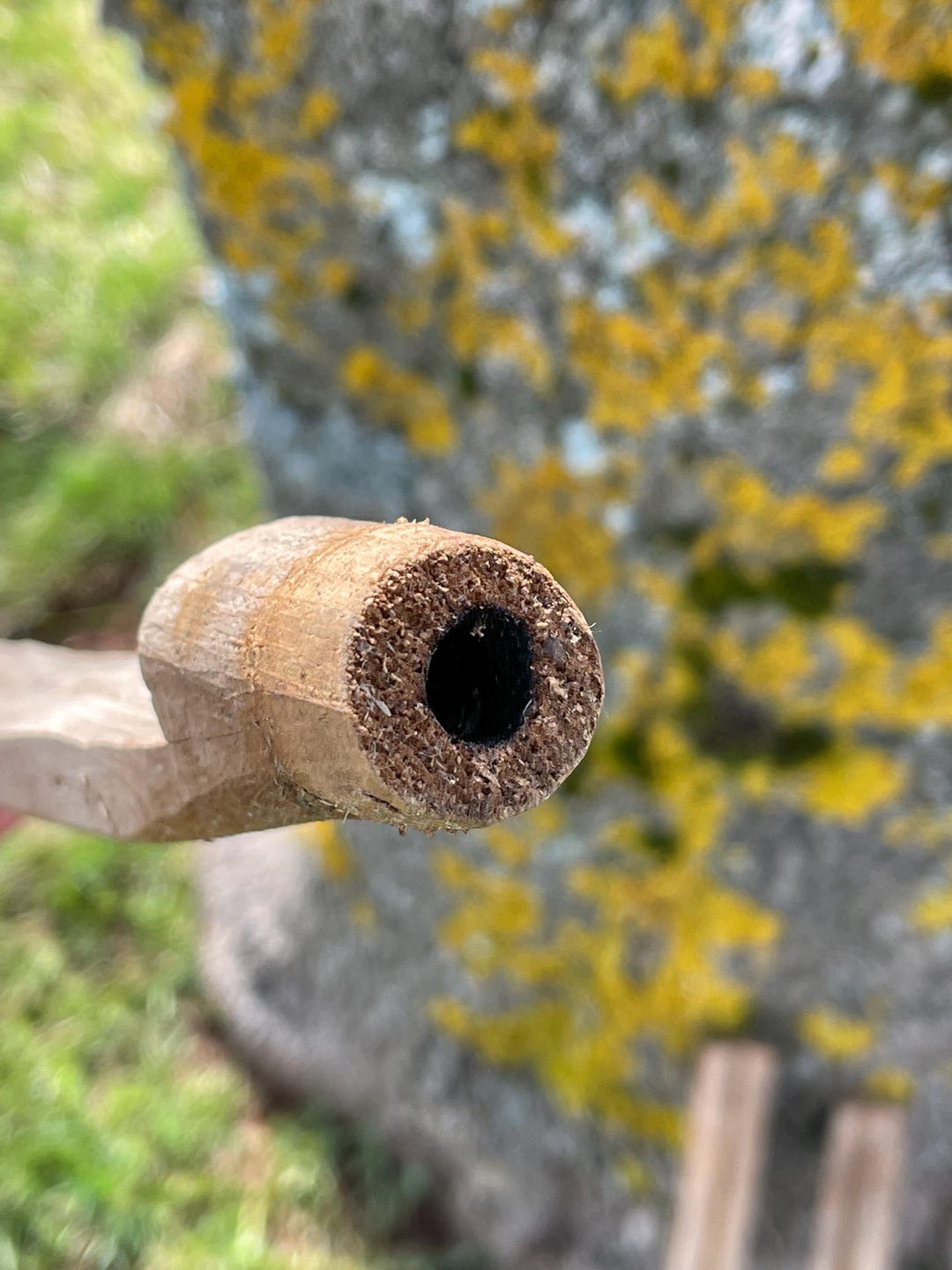 Rare Primitive Indigenous Hand Carved Maple Syrup Sap Spigots or Spiles ...