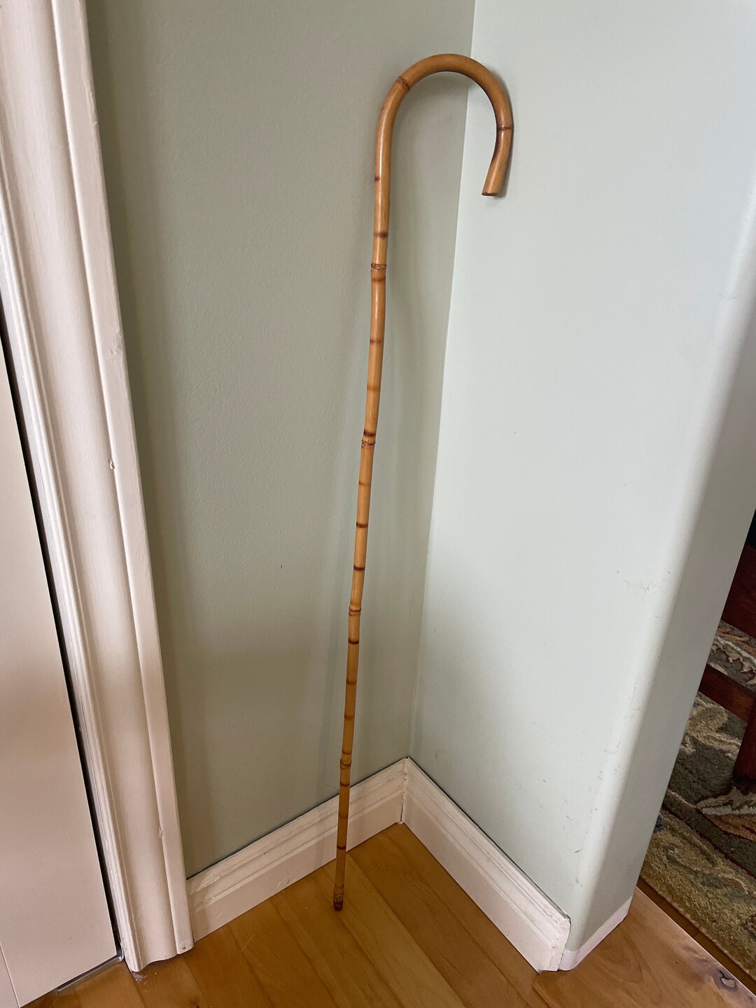 Vintage Bamboo Cane, Walking Stick or Pointer With a Metal Tip. - Etsy