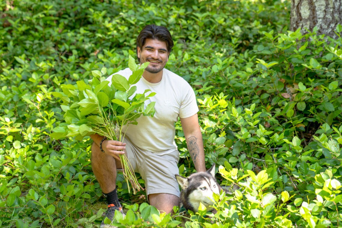 Fresh Premium Long Stem Salal (27" Stems) | Lemon Leaf (gaultheria ...