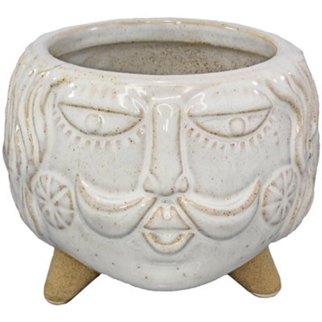 Fun Masculine Mustache Face Planter Pot, Face Flower Pot, Succulent ...