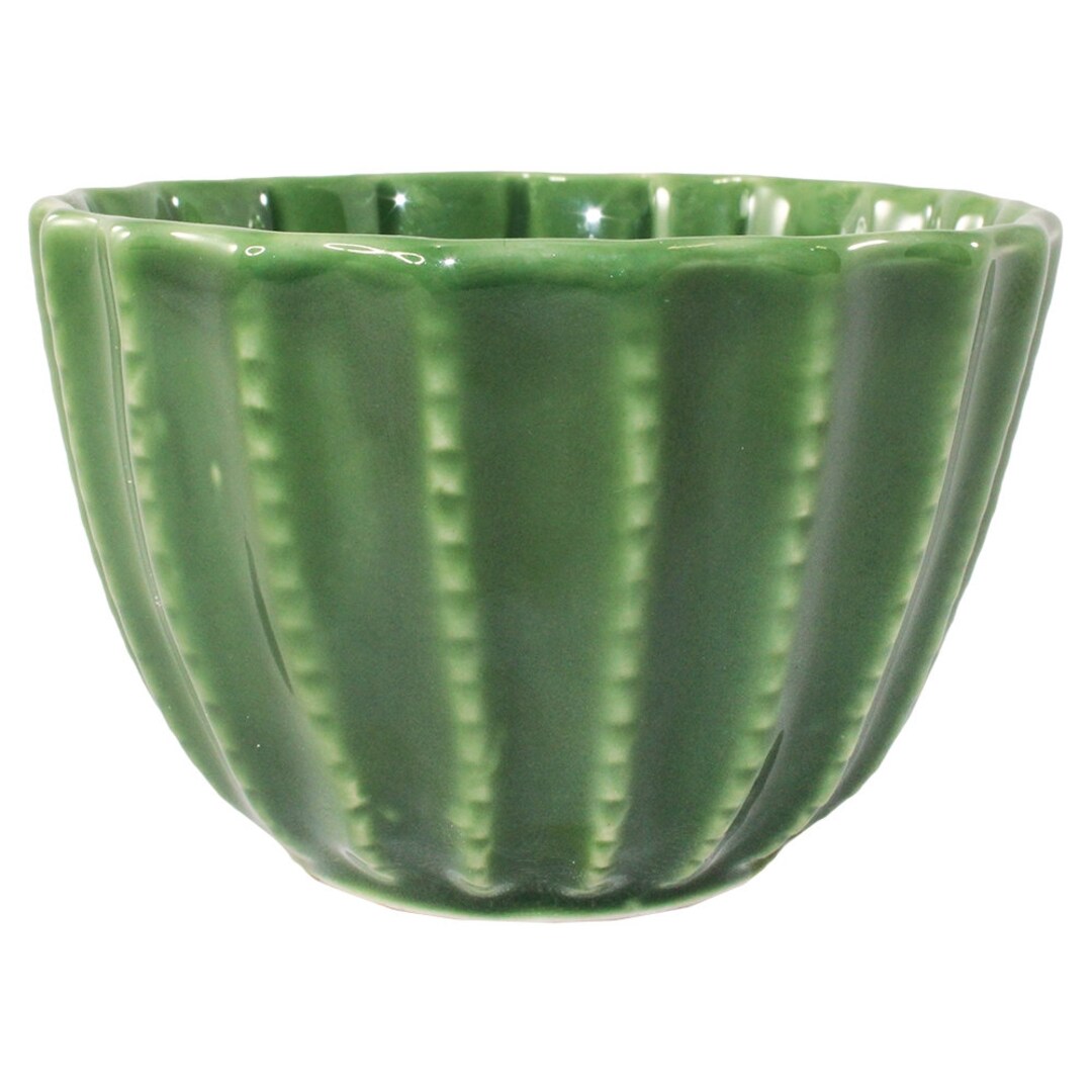 Succulent Cactus Measuring Cup | Cactus Planter | Cactus Cup With 1/2 ...