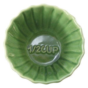 Succulent Cactus Measuring Cup | Cactus Planter | Cactus Cup With 1/2 ...