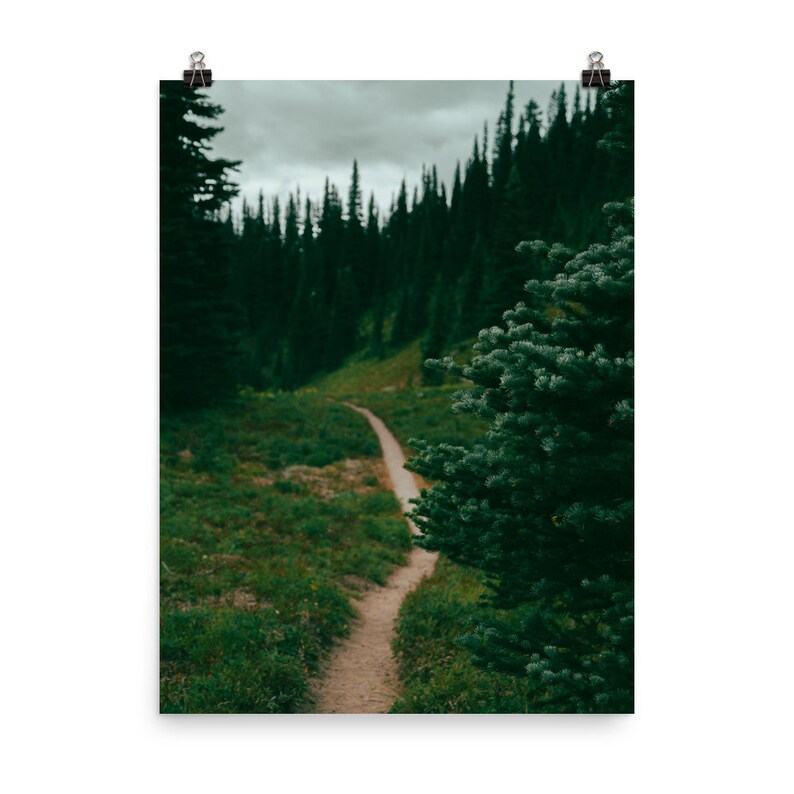 Forest Hiking Trail PNW Photo Print Wall Art | Etsy