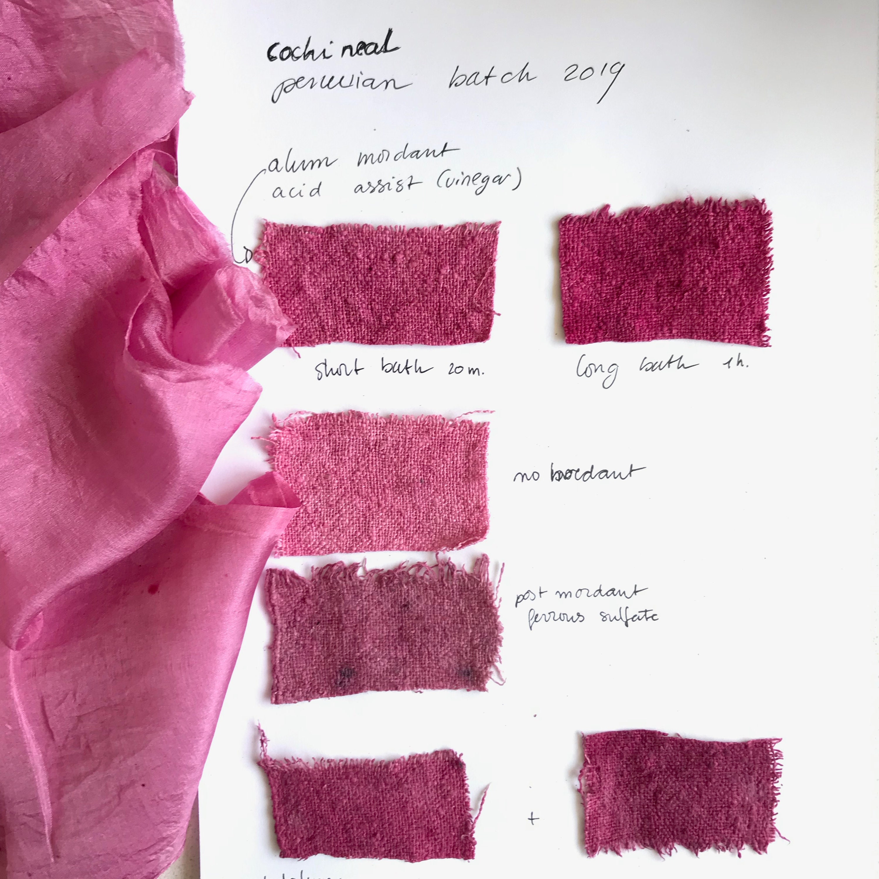 Ground Cochineal Natural Dye Dactylopius Coccus Costa Pink - Etsy