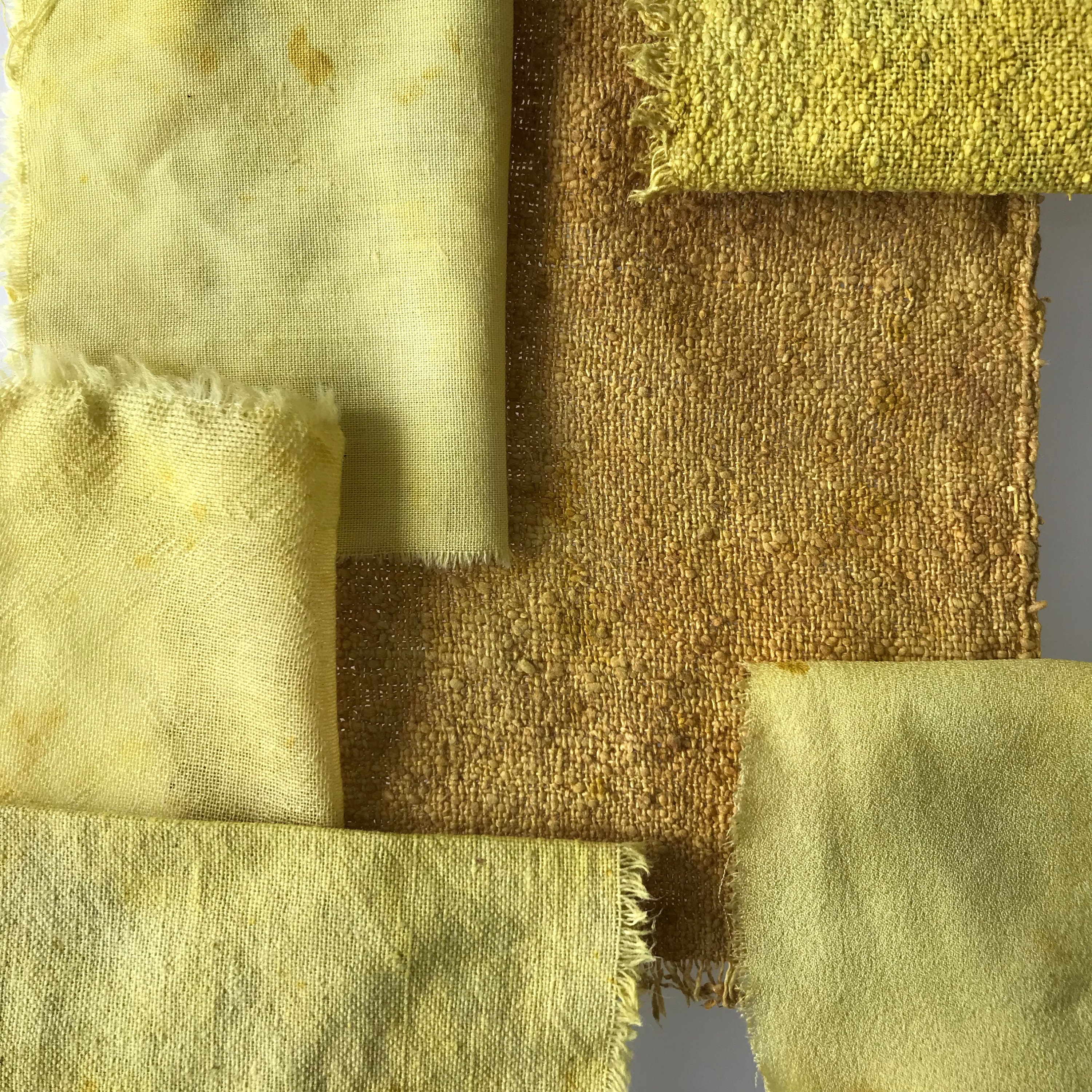 Weld Natural Dye Extract, Yellow & Green Textile Dye (100gr/3.5oz) - Etsy