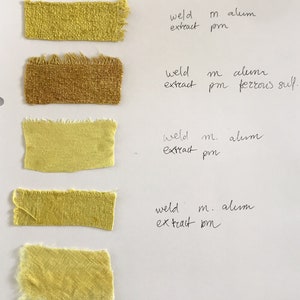 100gr/3.5oz Weld Natural Dye EXTRACT (reseda Luteola) for Yellows and ...