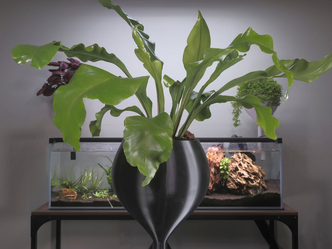 Houseplant Wicking Pot for Aquariums - Large - Black - Etsy