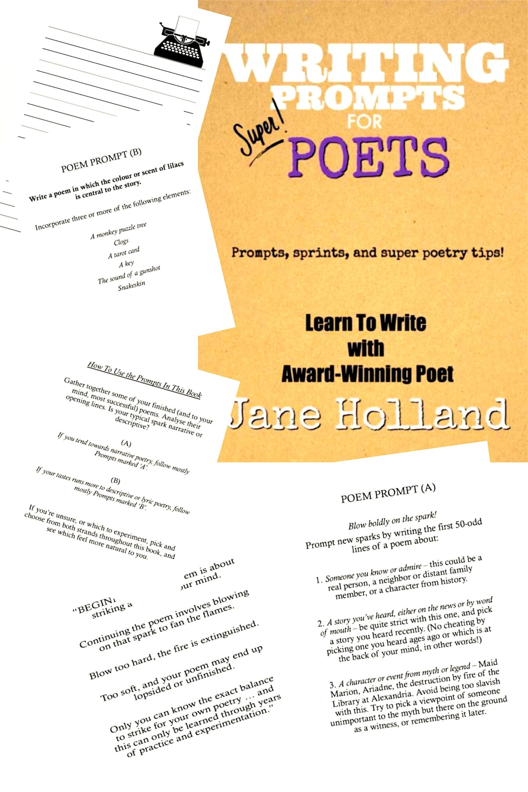 Poetry Prompts and Tips Workbook, INSTANT DOWNLOAD, Poetry Masterclass ...