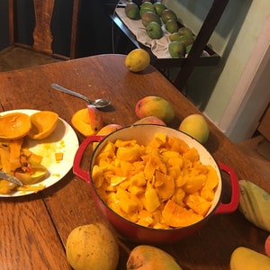 Live Mango Trees - Grafted - Many Variaties: Pina Colada, Super ...