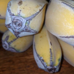 Saba Banana Tree Pup - Musa Acuminata X Balbisiana 2 - 3 Feet TALL ...