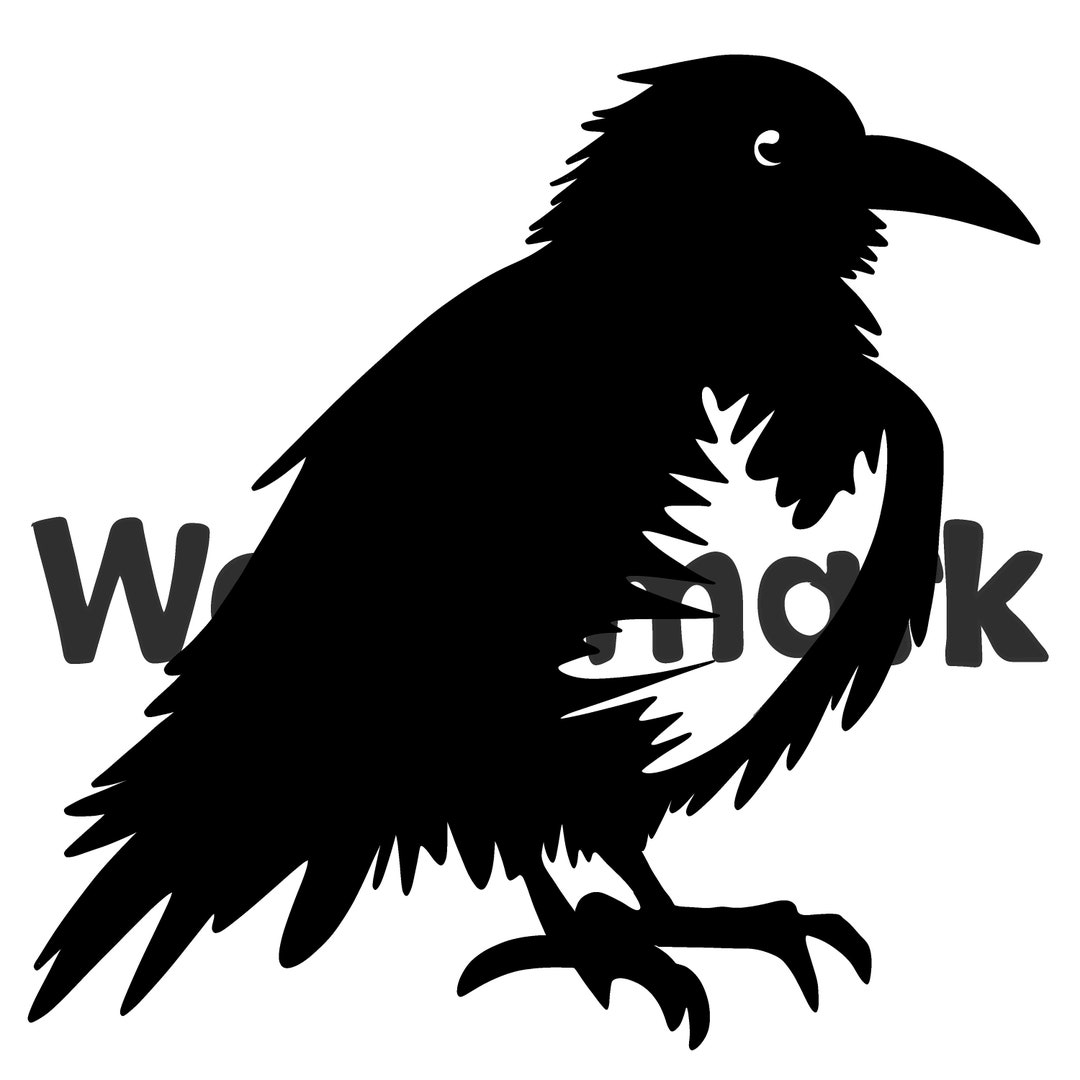 Magpie Bird Svg Png Jpeg Svg File,clip Art, Instant Download, Cricut ...