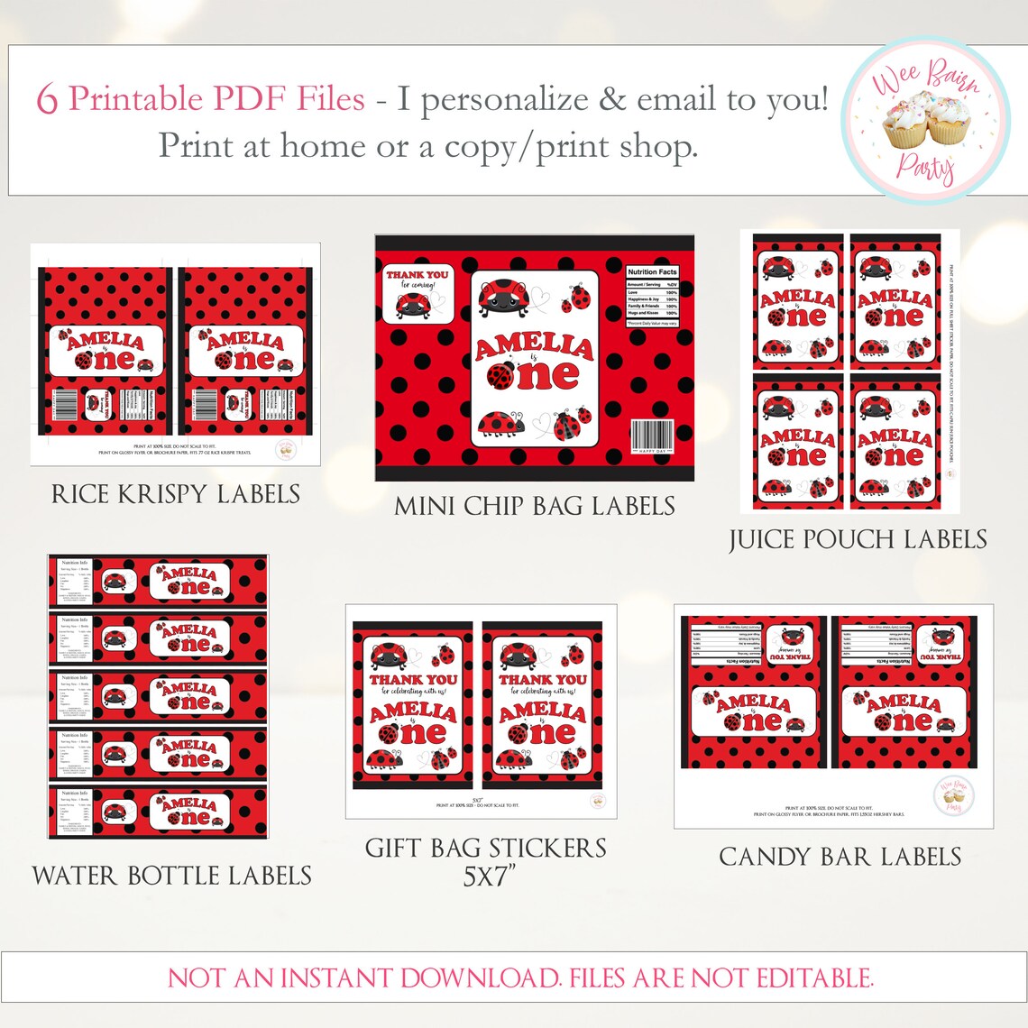 Ladybug Birthday Custom Party Favors Bundle, Baby First Birthday Girl ...