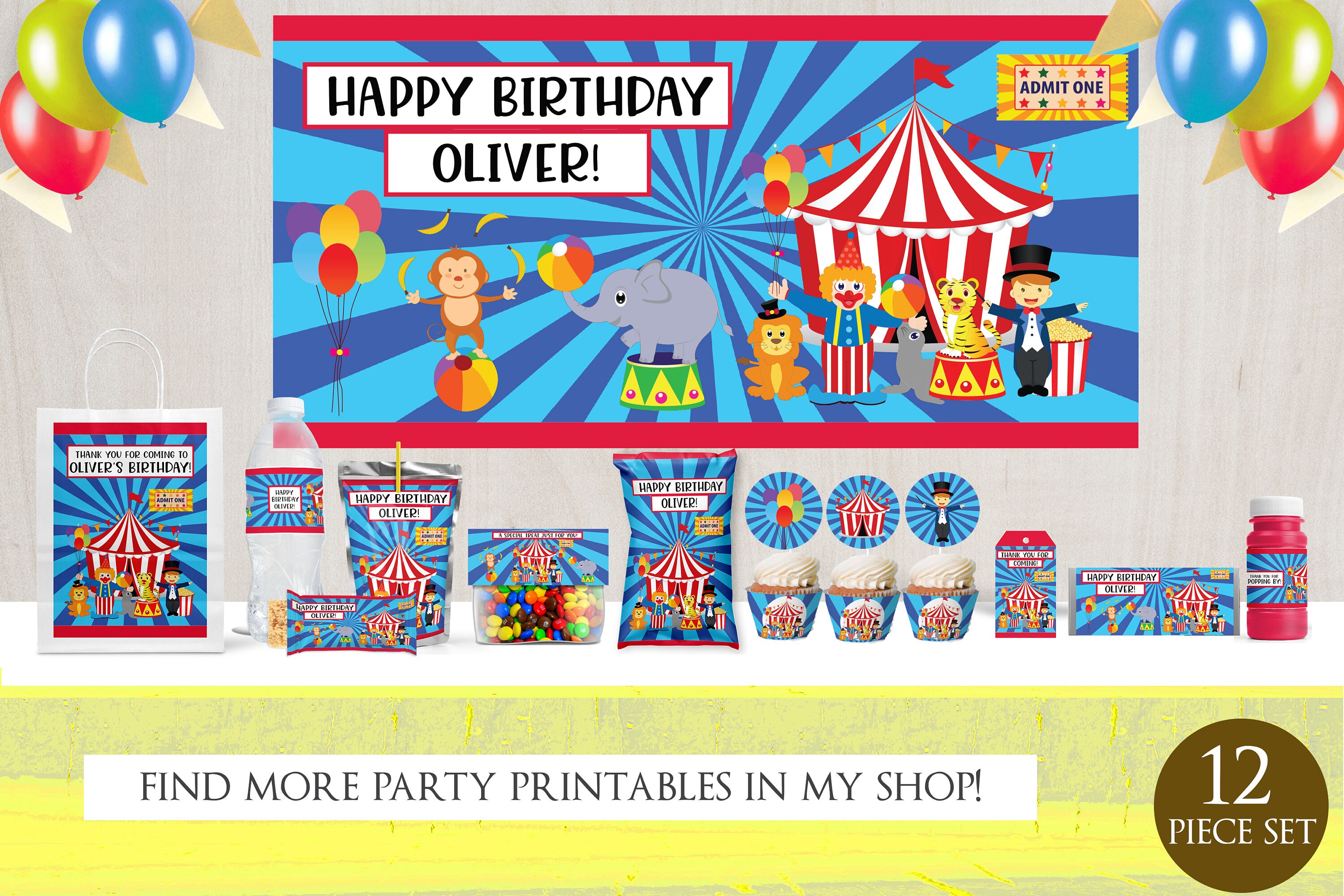 Circus Birthday Party Favor Bundle, Circus 1st Birthday Party Decor ...